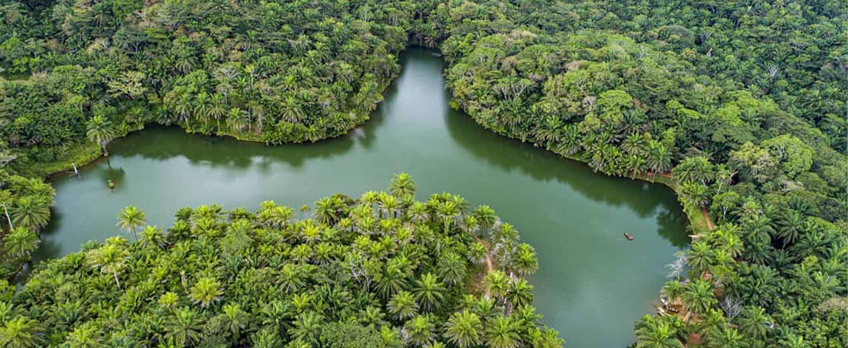 7 Days Amani Nature & Magoroto Forest Safari - Friends of Africa Safaris